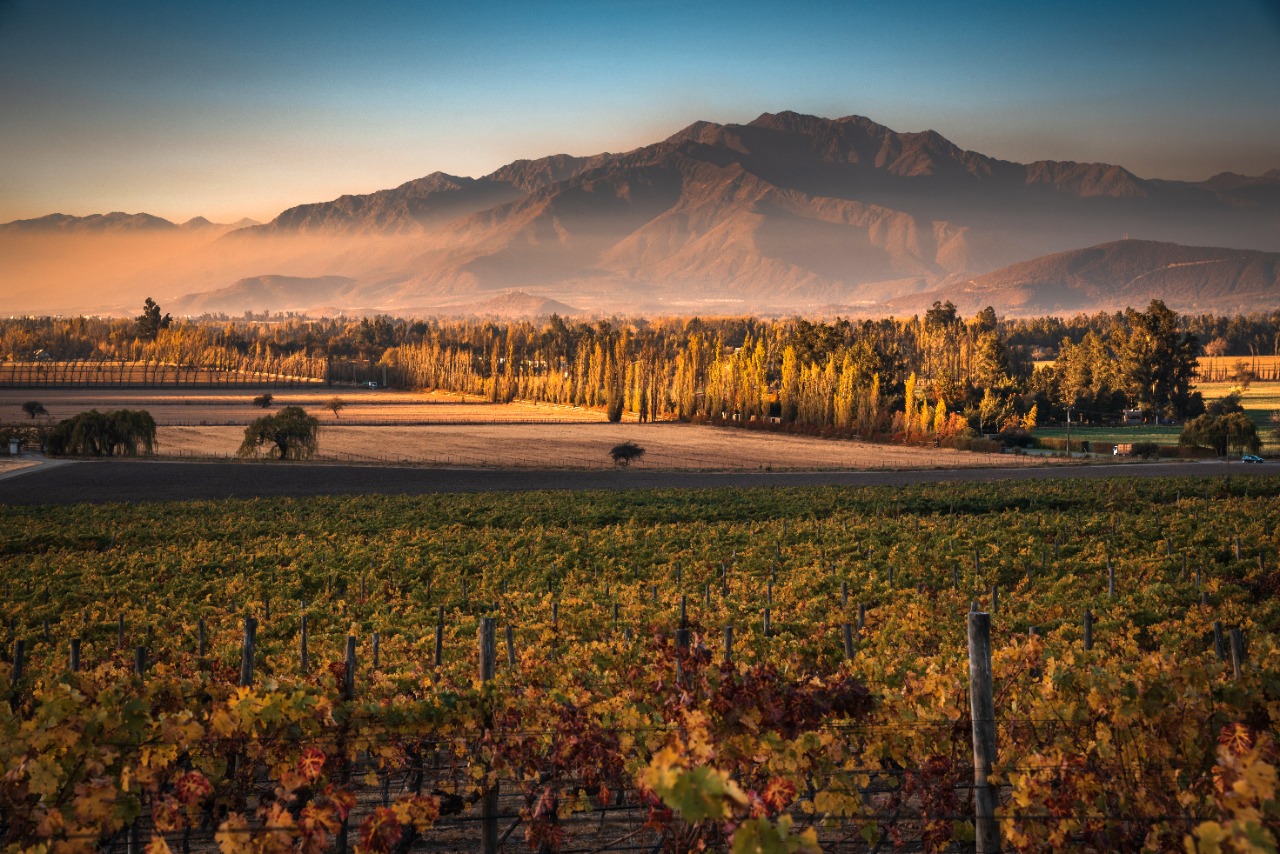 Haras de Pirque Sunset - Zerando o Chile